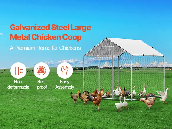 Metal Chicken Coop 6.56x6.56x6.56ft Walk-in Chicken Run with Cover ...