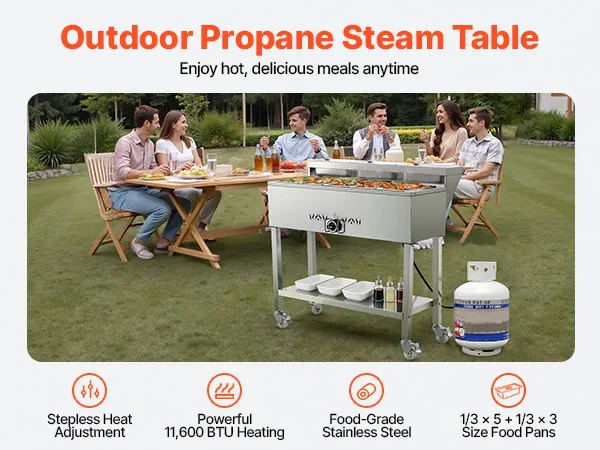 VEVOR Commercial Propane Steam Table, 5 Food Pans & 3 Condiment Pans ...
