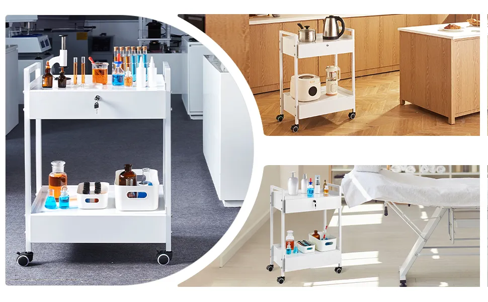 VEVOR Lab Cart, 2 Tiers Stainless Steel Utility Cart, Medical Cart with ...